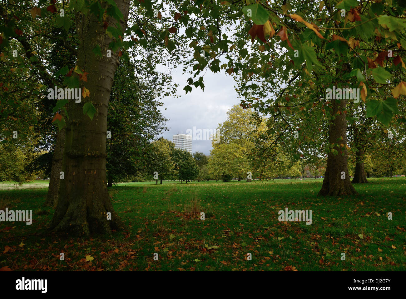 Hyde park trees hi-res stock photography and images - Alamy
