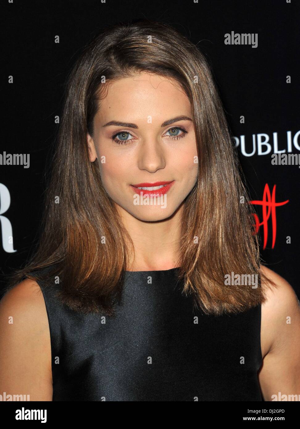 Los Angeles, CA, USA. 19th Nov, 2013. Lyndsy Fonseca at arrivals for ...