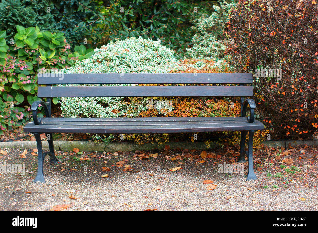 Lonely autumn park bench empiness solitude nostalgy nostalgic Stock ...