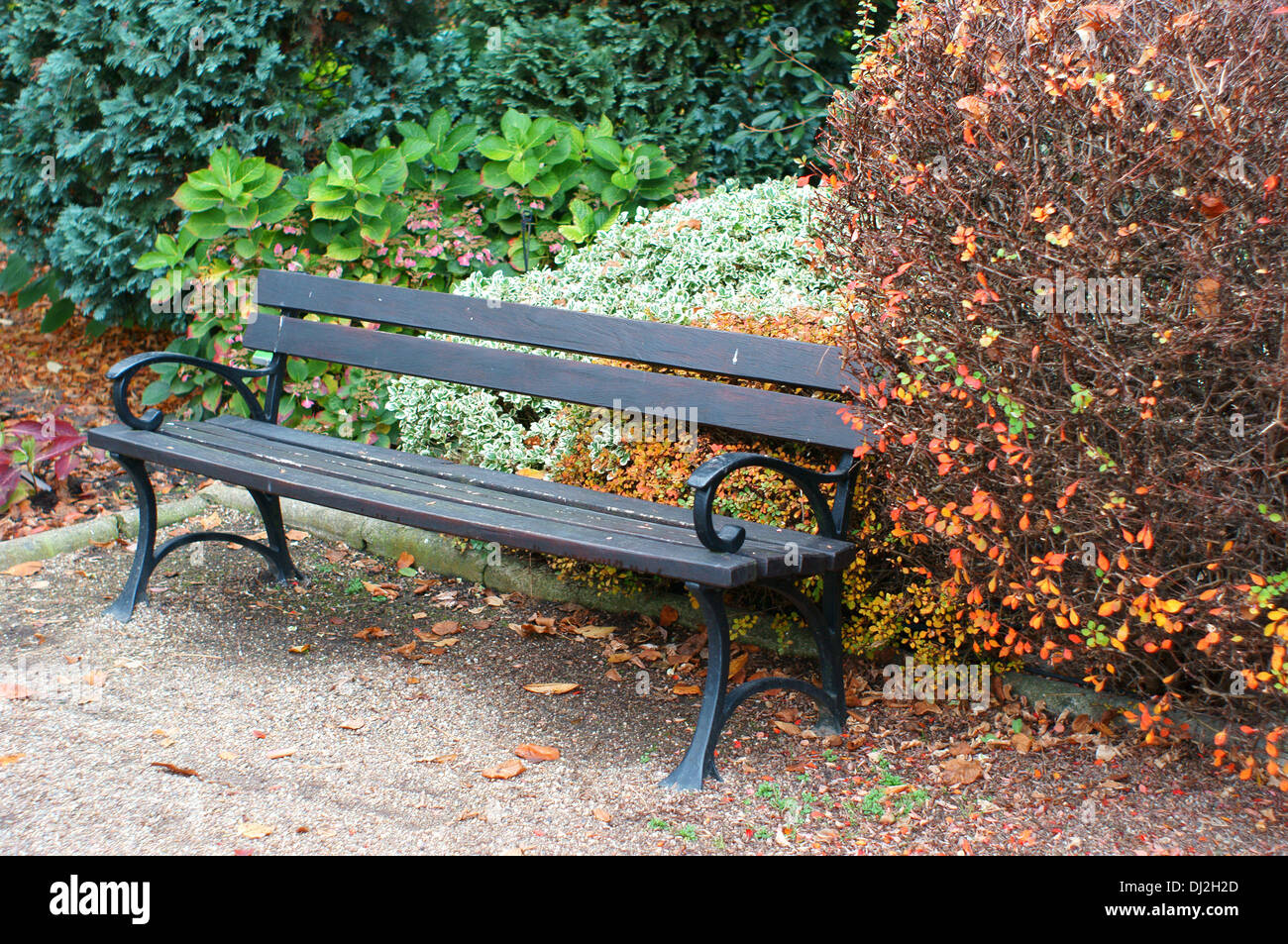 Nostalgic park bench hi-res stock photography and images - Alamy