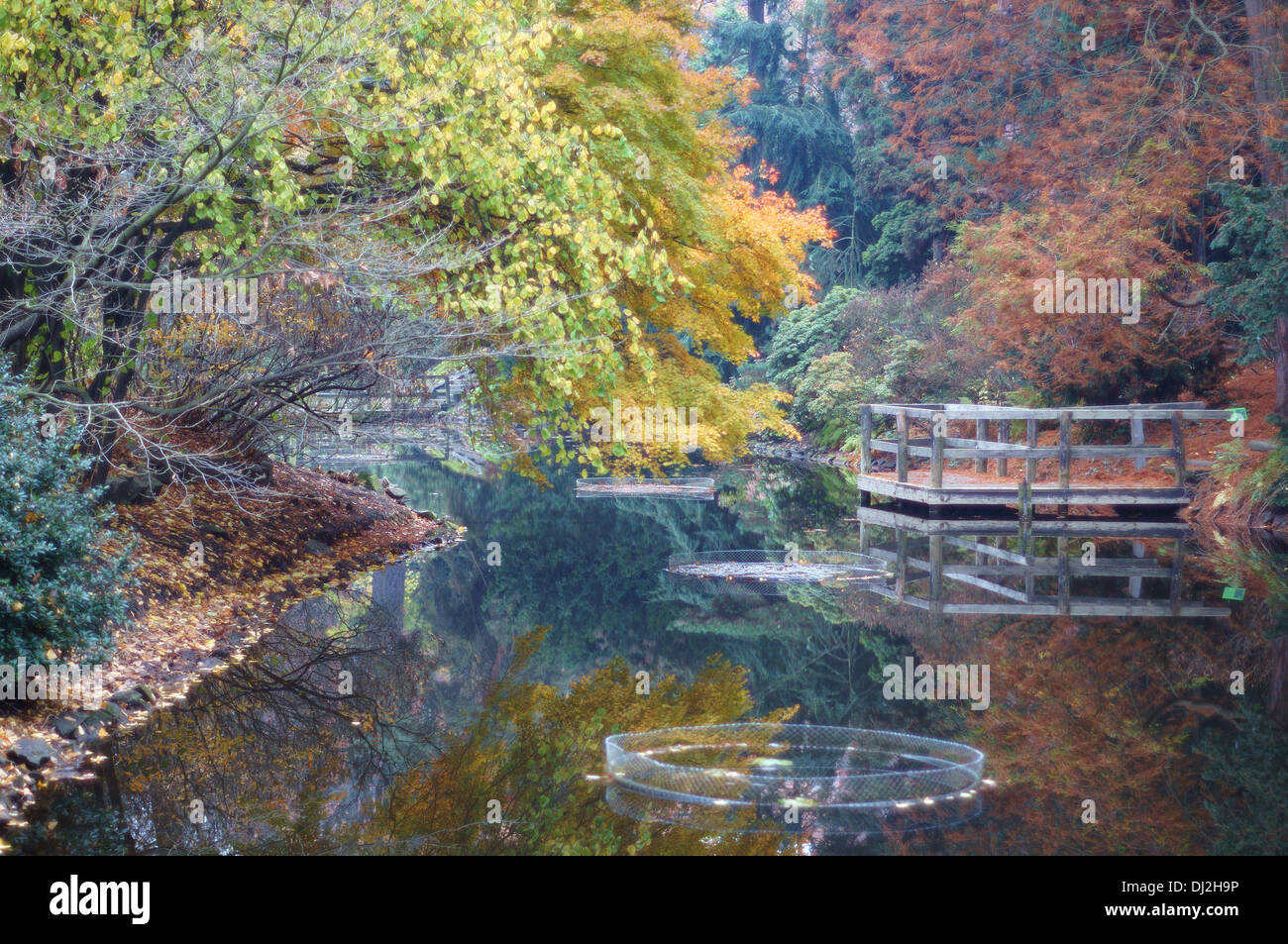 Botanical garden in wroclaw hi-res stock photography and images - Alamy