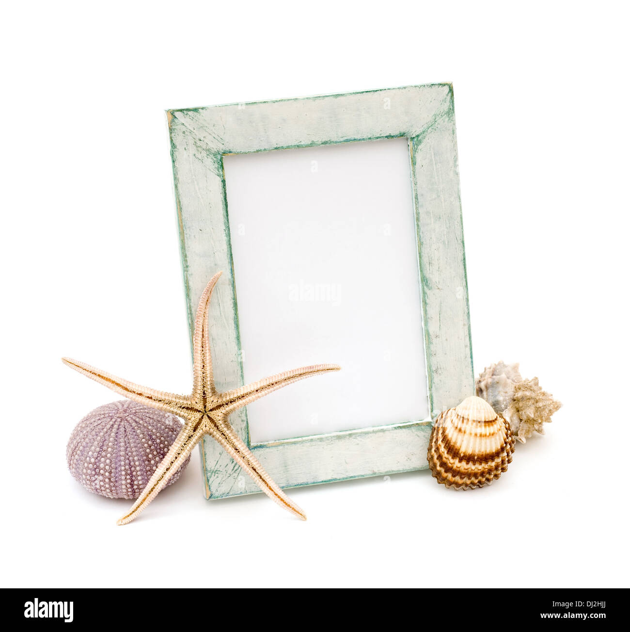 Blank photo frame with seashells hi-res stock photography and images ...