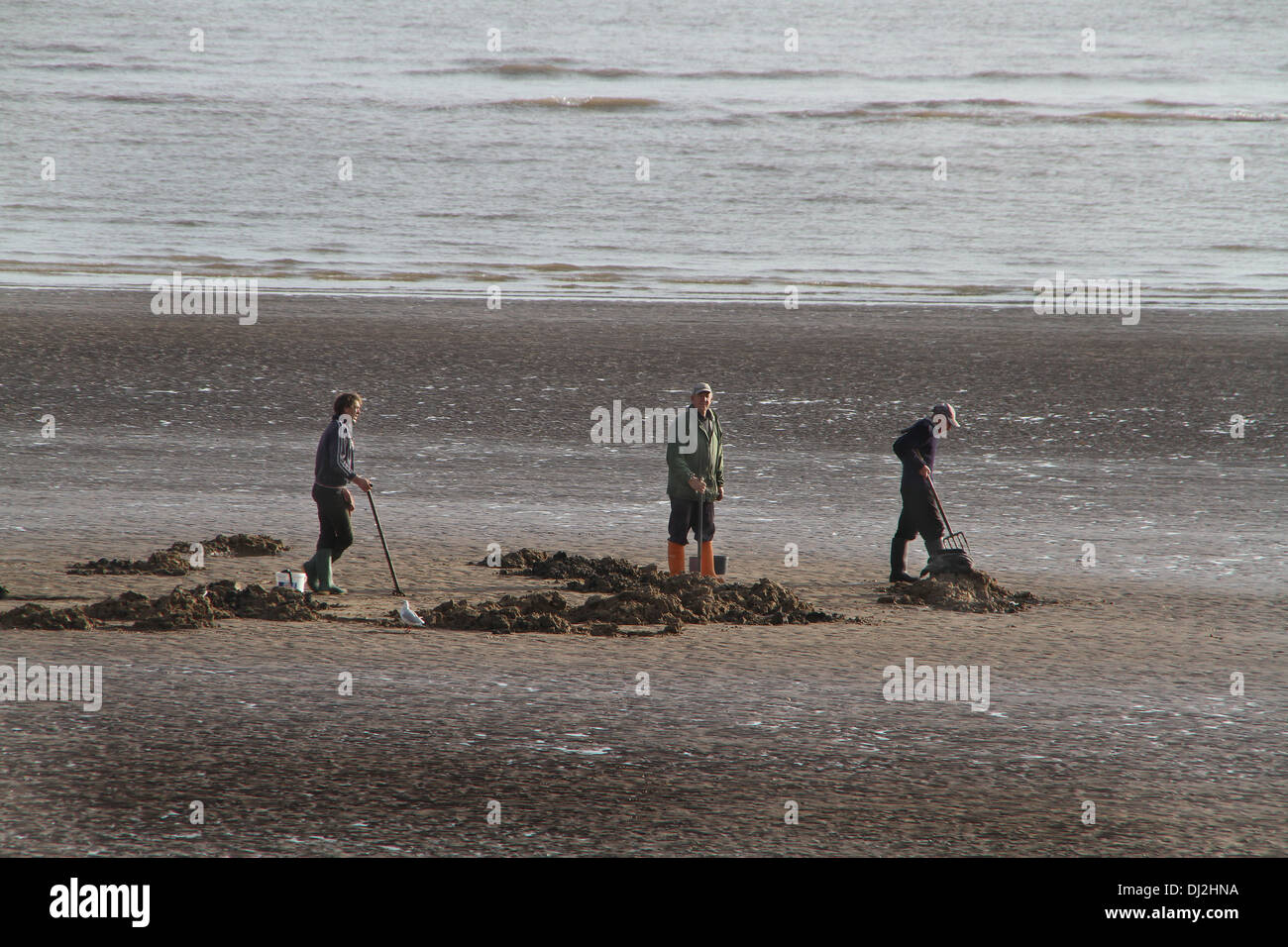 Bait digging hi-res stock photography and images - Alamy