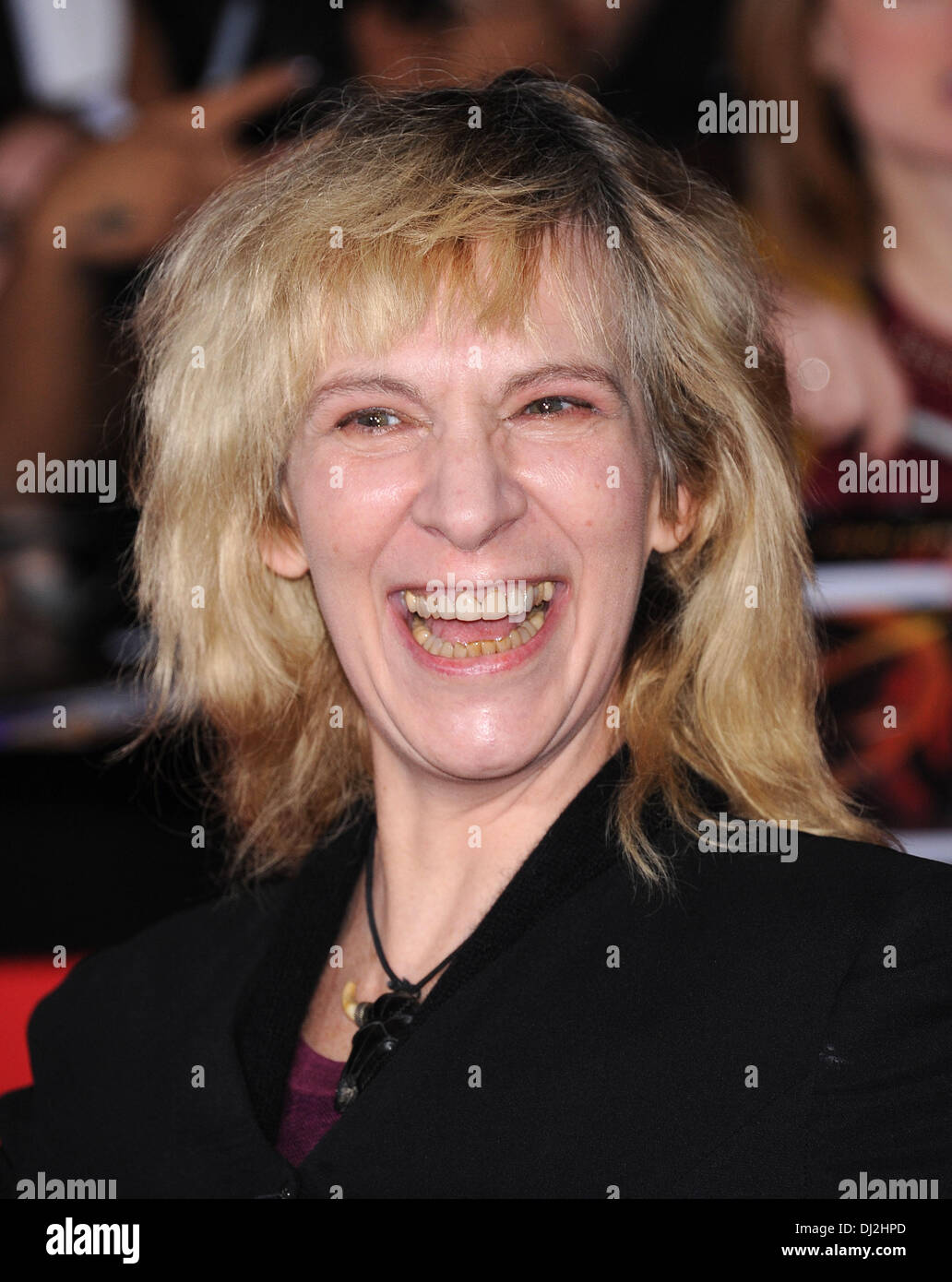 Los Angeles, California, USA. 18th Nov, 2013. Amanda Plummer arrives ...