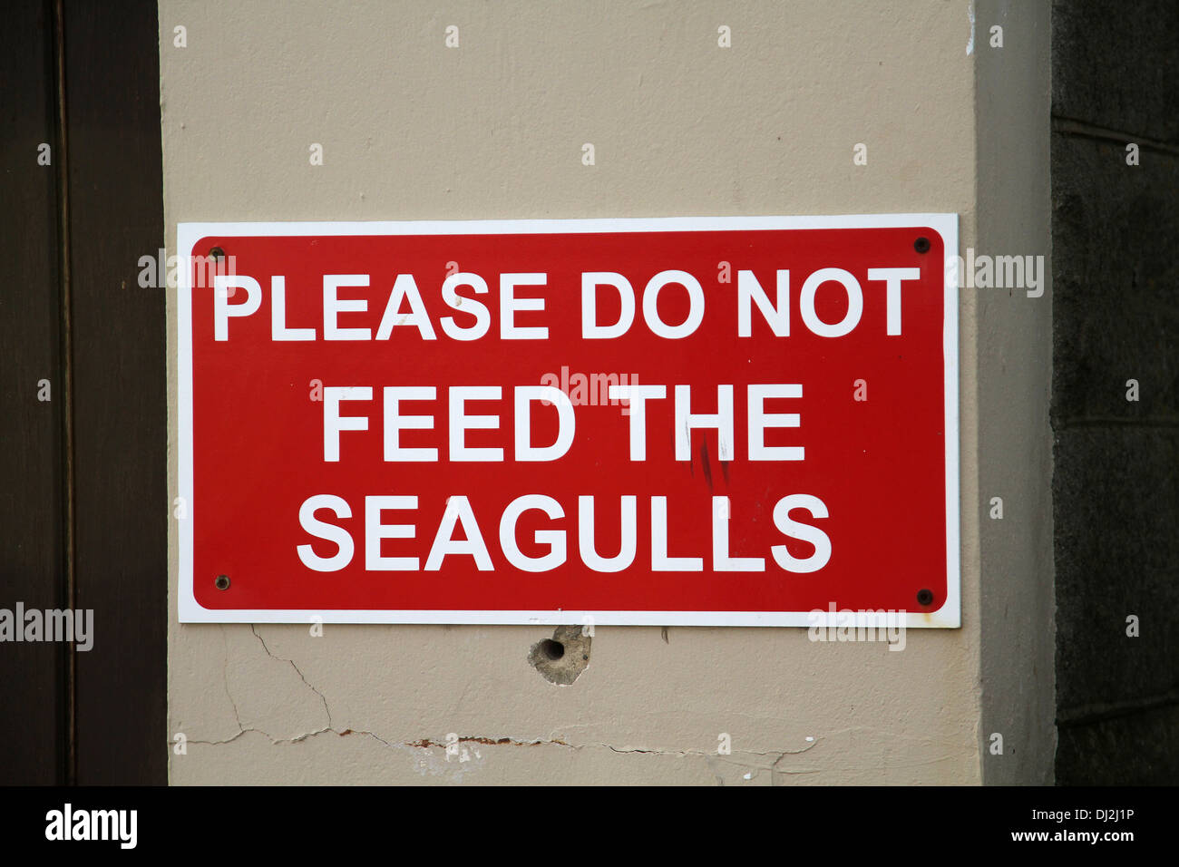 Do not feed the Seagull sign Stock Photo - Alamy