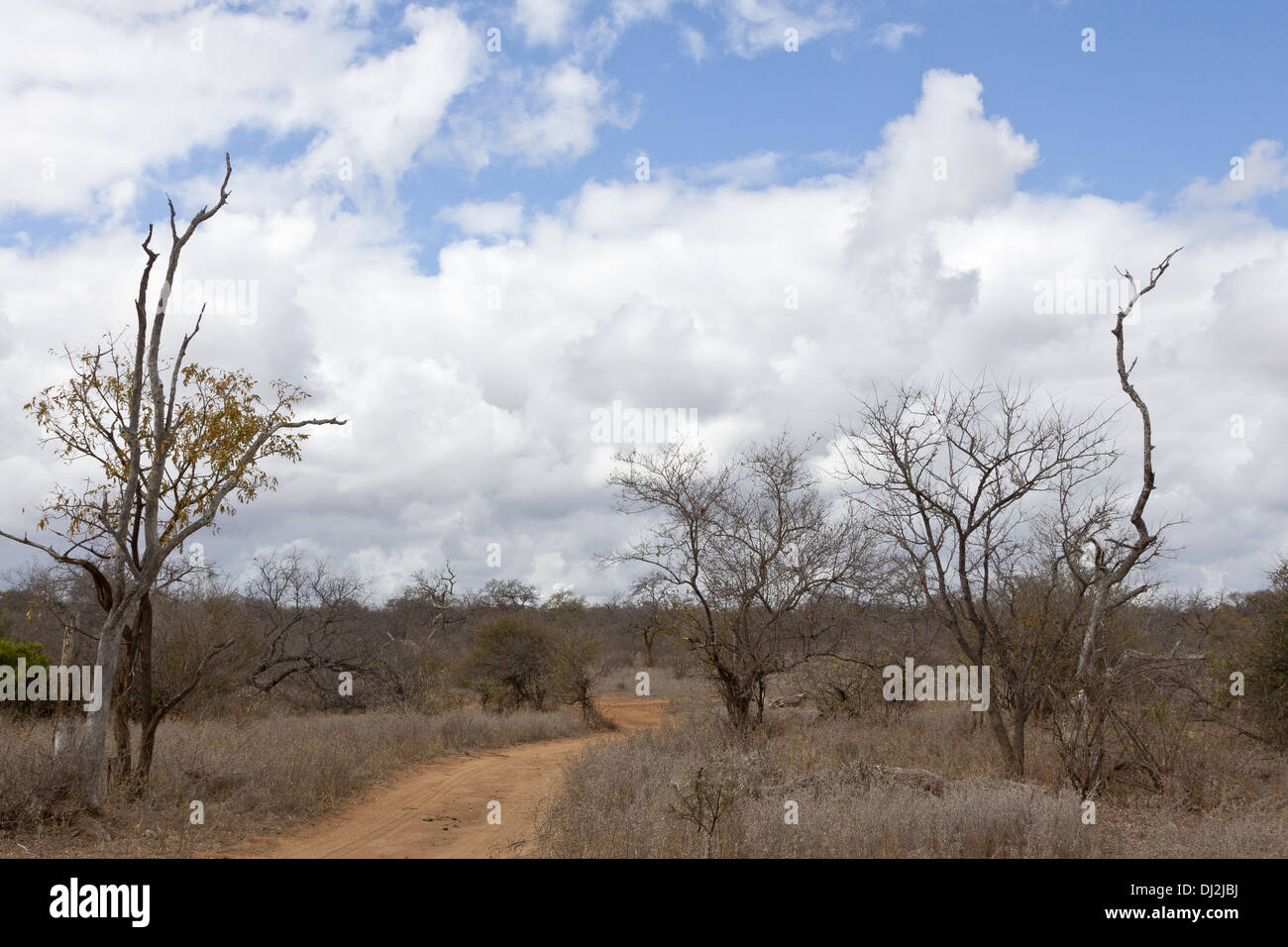 Landscape of southafrica Stock Photo - Alamy