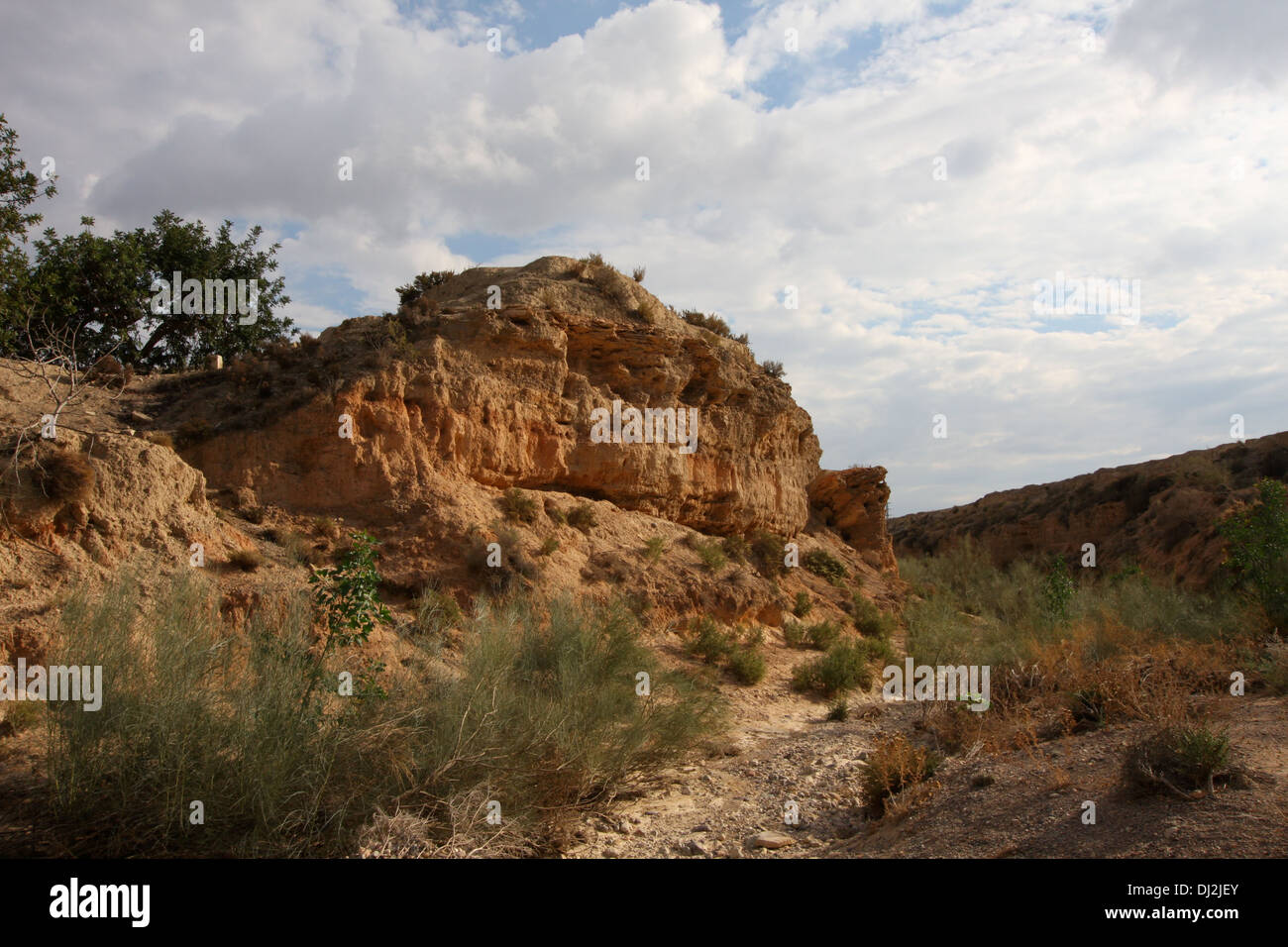 Dried up river bed drought hi-res stock photography and images - Alamy