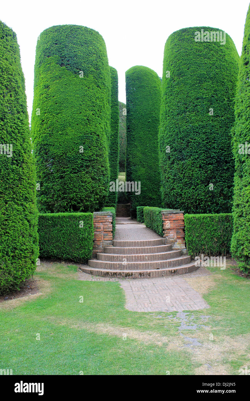 Yew trees at Packwood House, a Tudor manor house near Lapworth ...