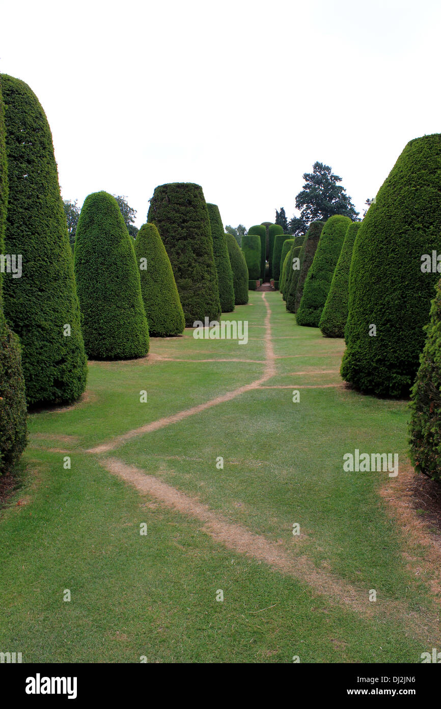 Yew furniture hi-res stock photography and images - Alamy