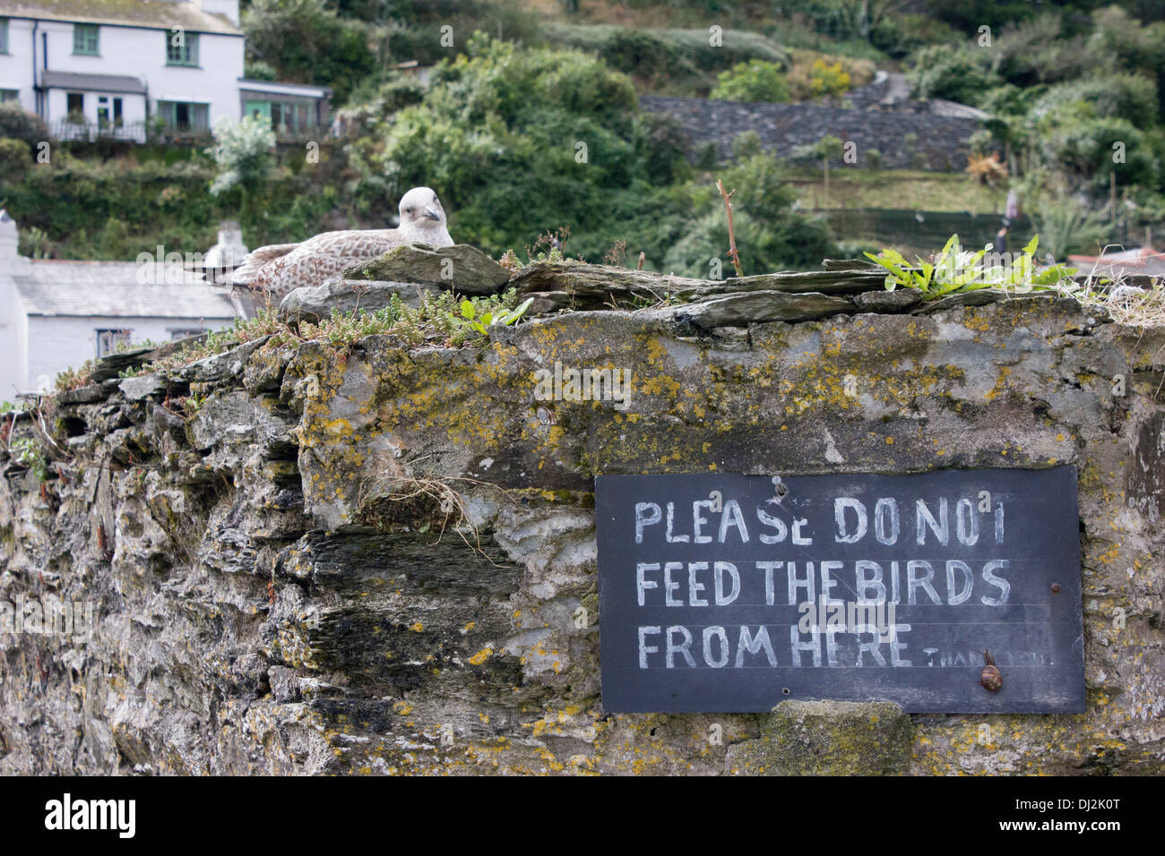Polperro sign hi-res stock photography and images - Alamy
