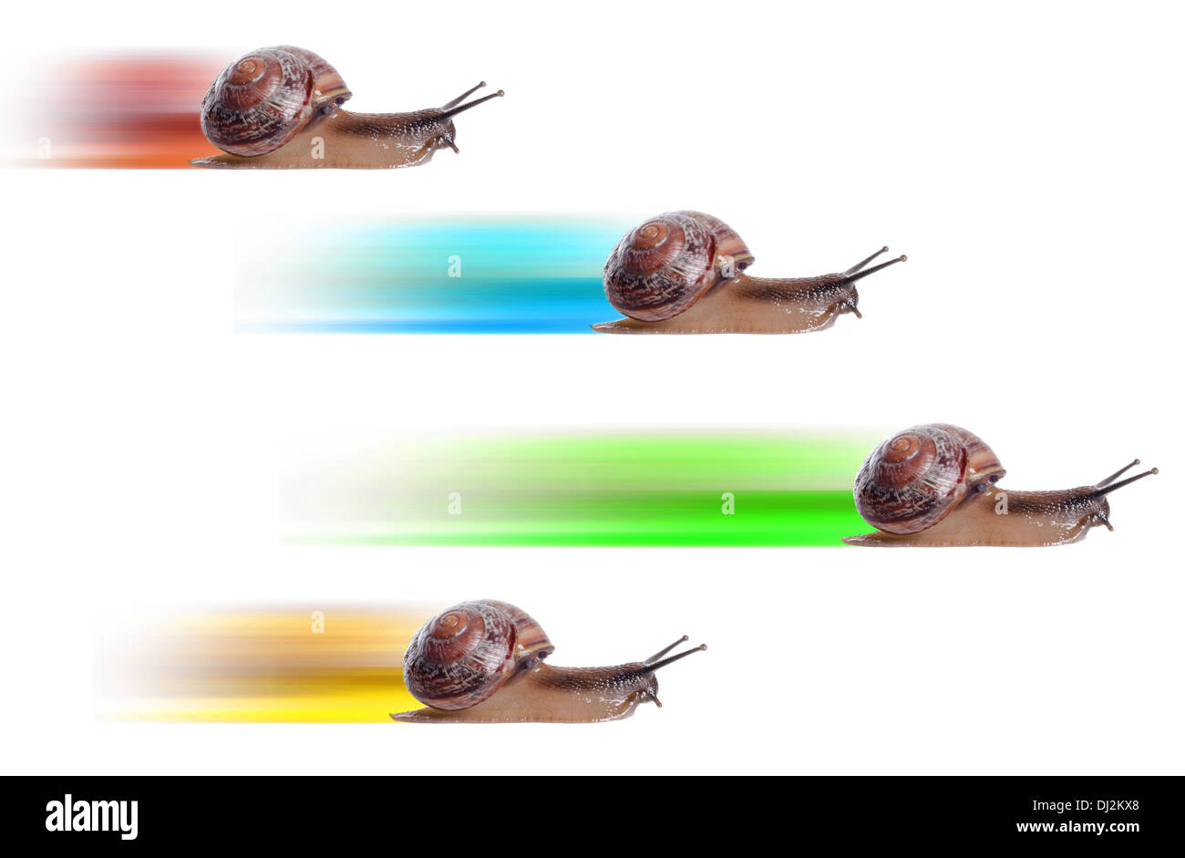 Super Fast Snail