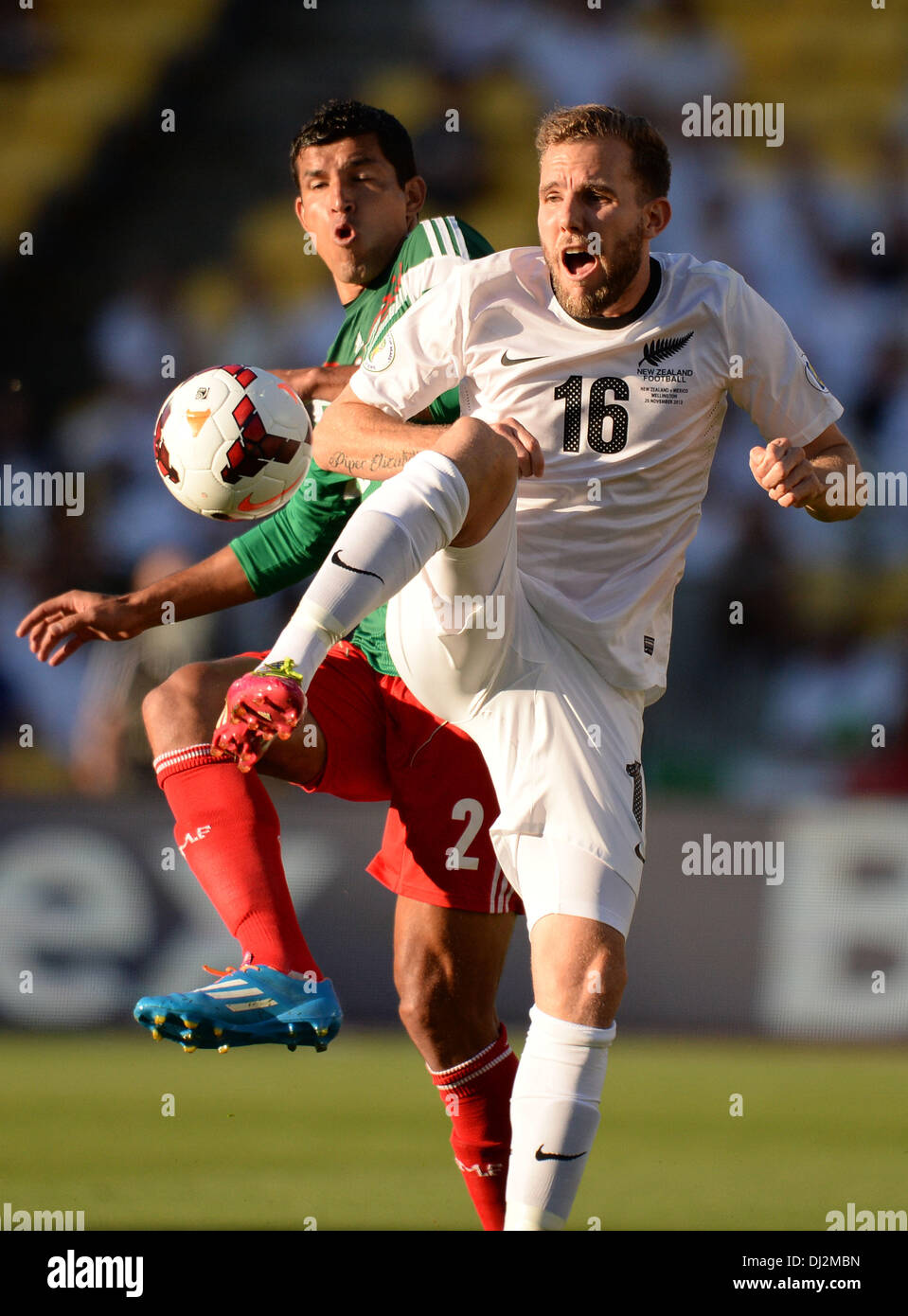 Brockie hi-res stock photography and images - Alamy