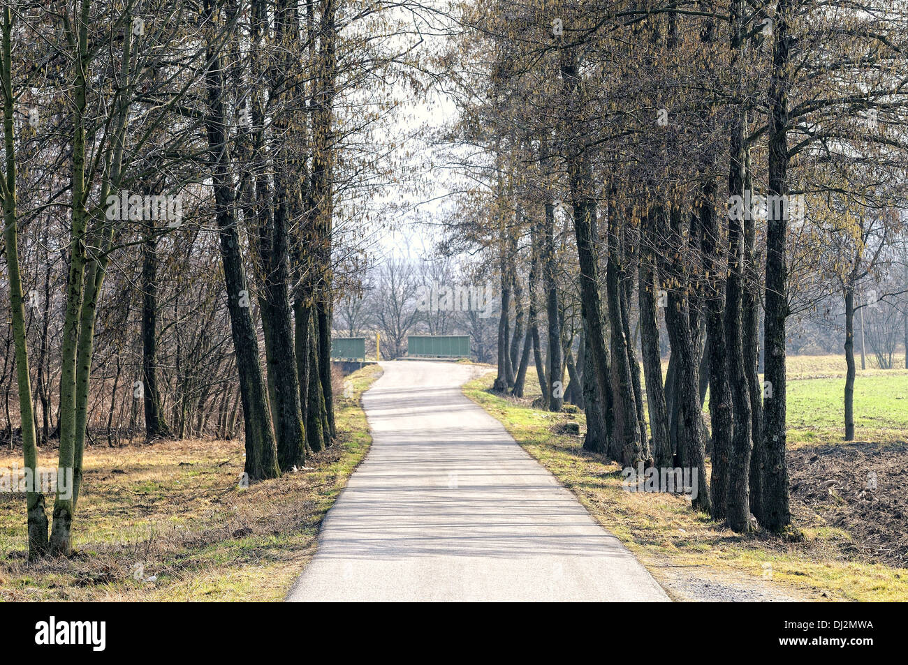 Country road through dry hi-res stock photography and images - Alamy