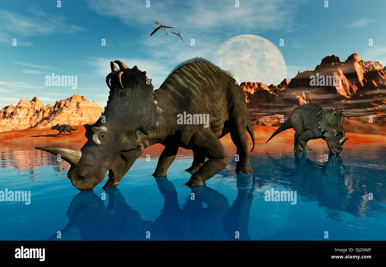 Centrosaurus Dinosaurs Of The Cretaceous Era Of Time Stock Photo - Alamy