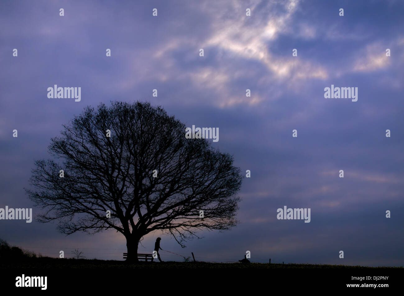 Walk in the night hi-res stock photography and images - Alamy
