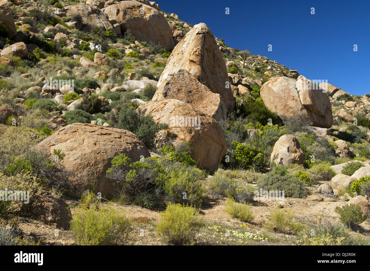 Weathered granite hi-res stock photography and images - Alamy