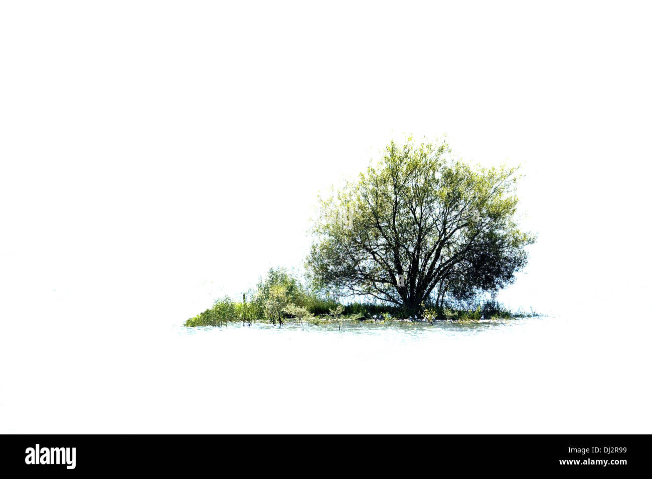 Natur Island Cut Out Stock Images & Pictures - Alamy