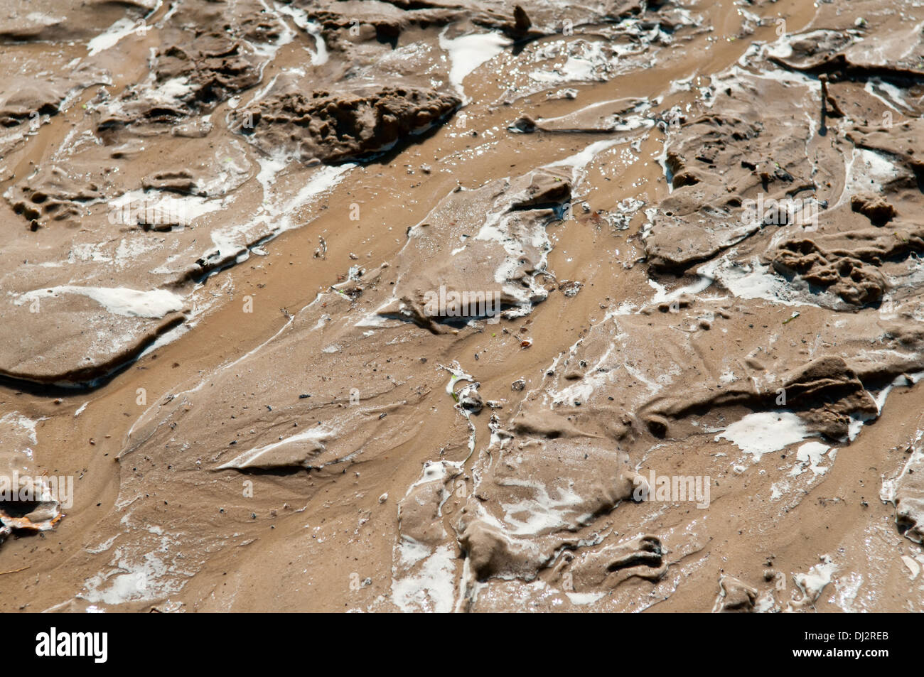 wet brown mud Stock Photo - Alamy