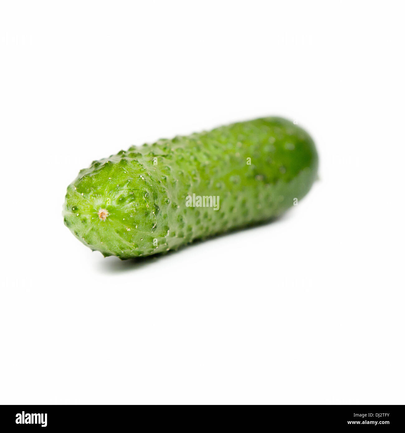 Cucumber yield hi-res stock photography and images - Alamy
