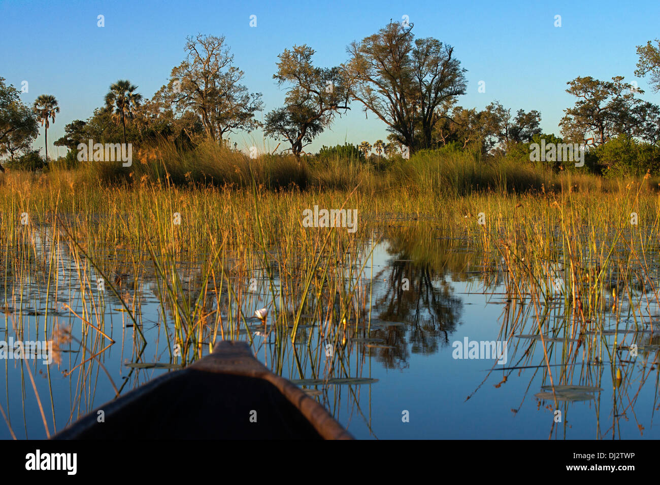 Landscape photographed from a boat in the water mokoro safari calls ...