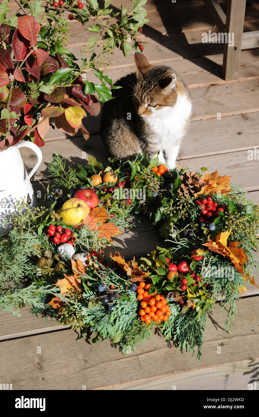 Cat with flower wreath hi-res stock photography and images - Alamy