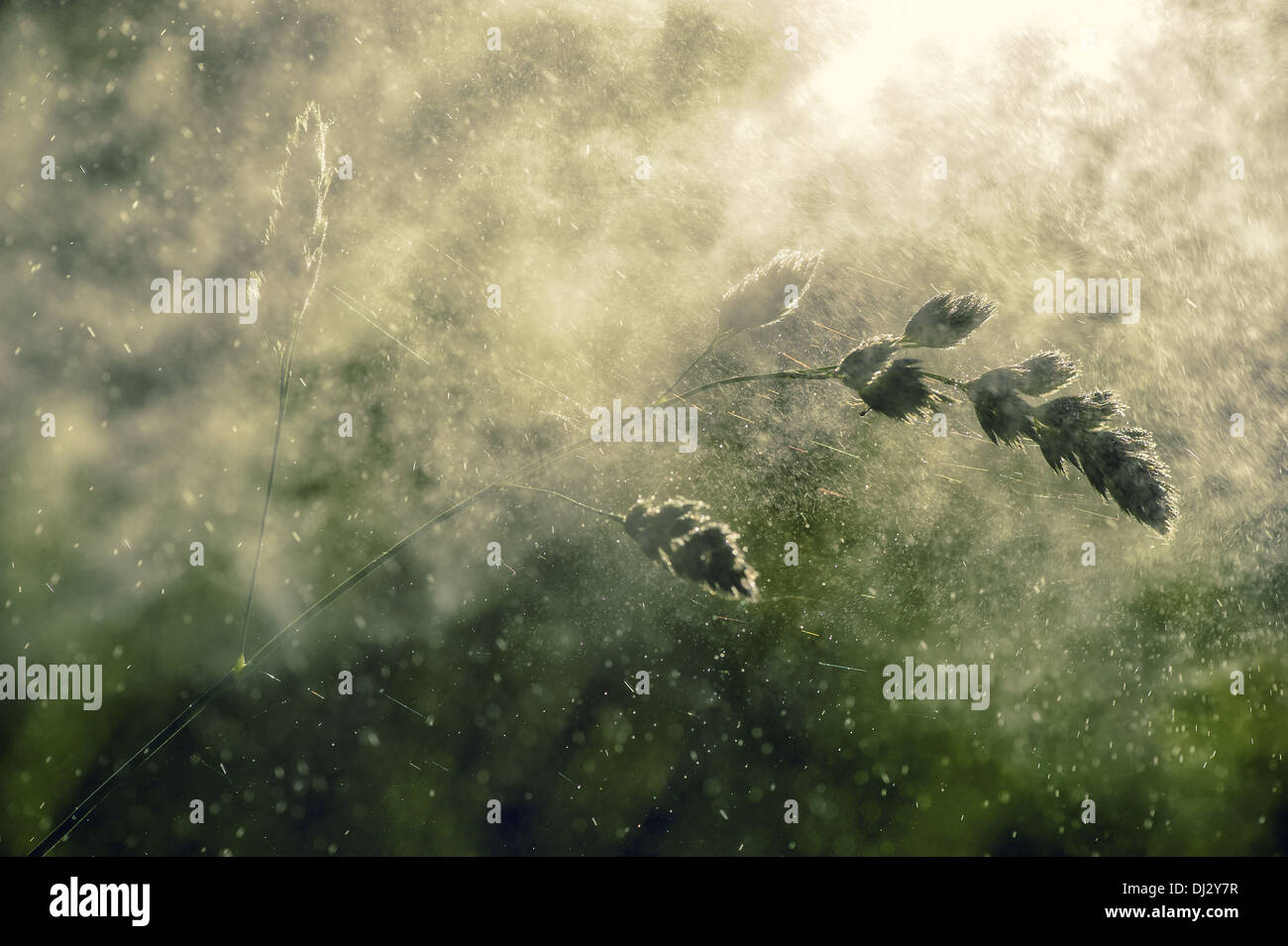 Mist motion hi-res stock photography and images - Alamy