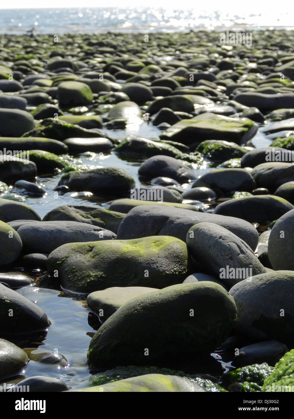 Exposed stones on a beach creating mini rock pools Stock Photo - Alamy