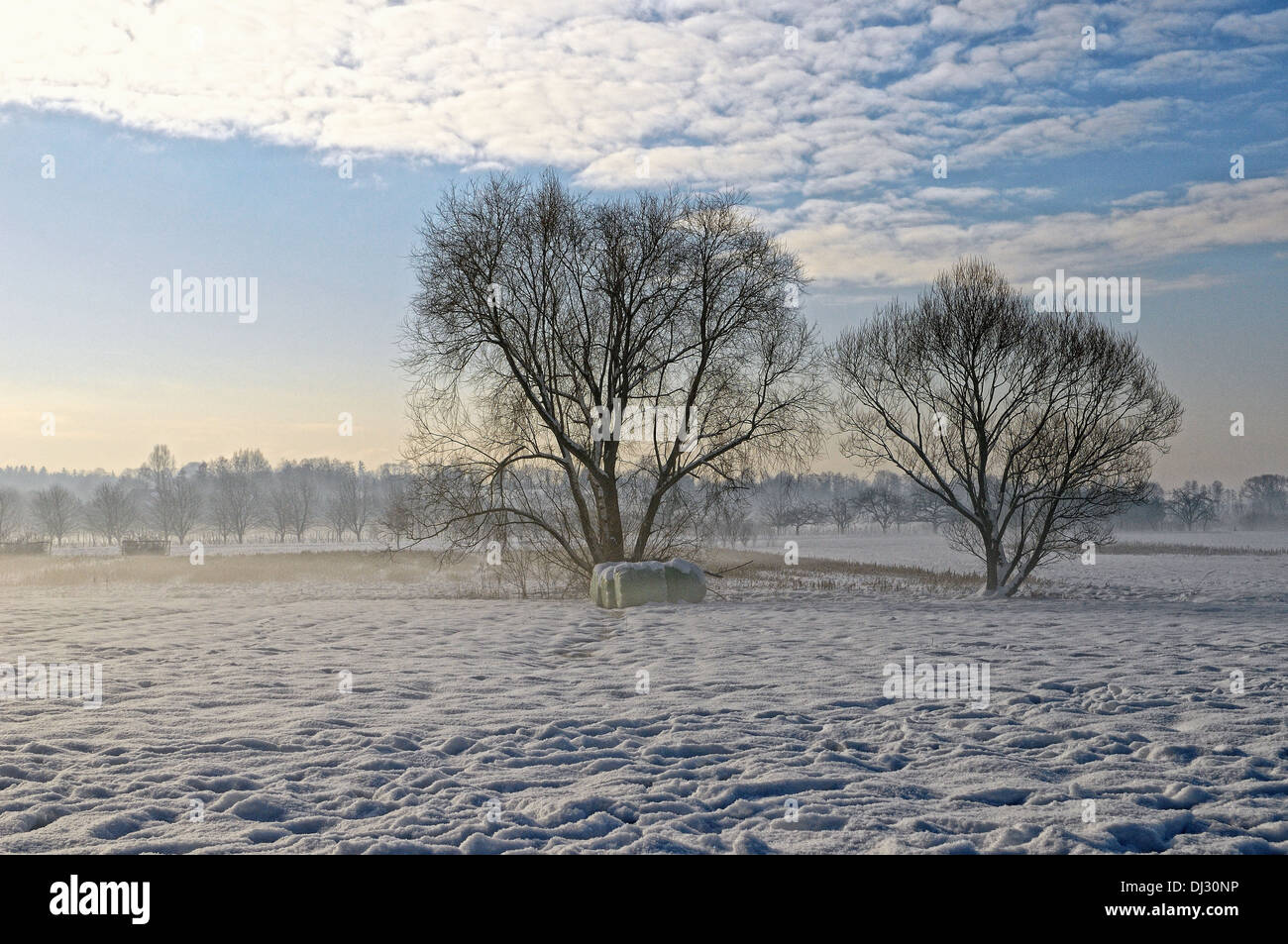 Winterliches feld hi-res stock photography and images - Alamy
