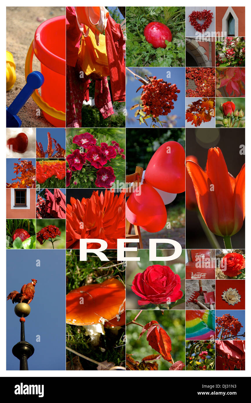 Red rot hi-res stock photography and images - Alamy