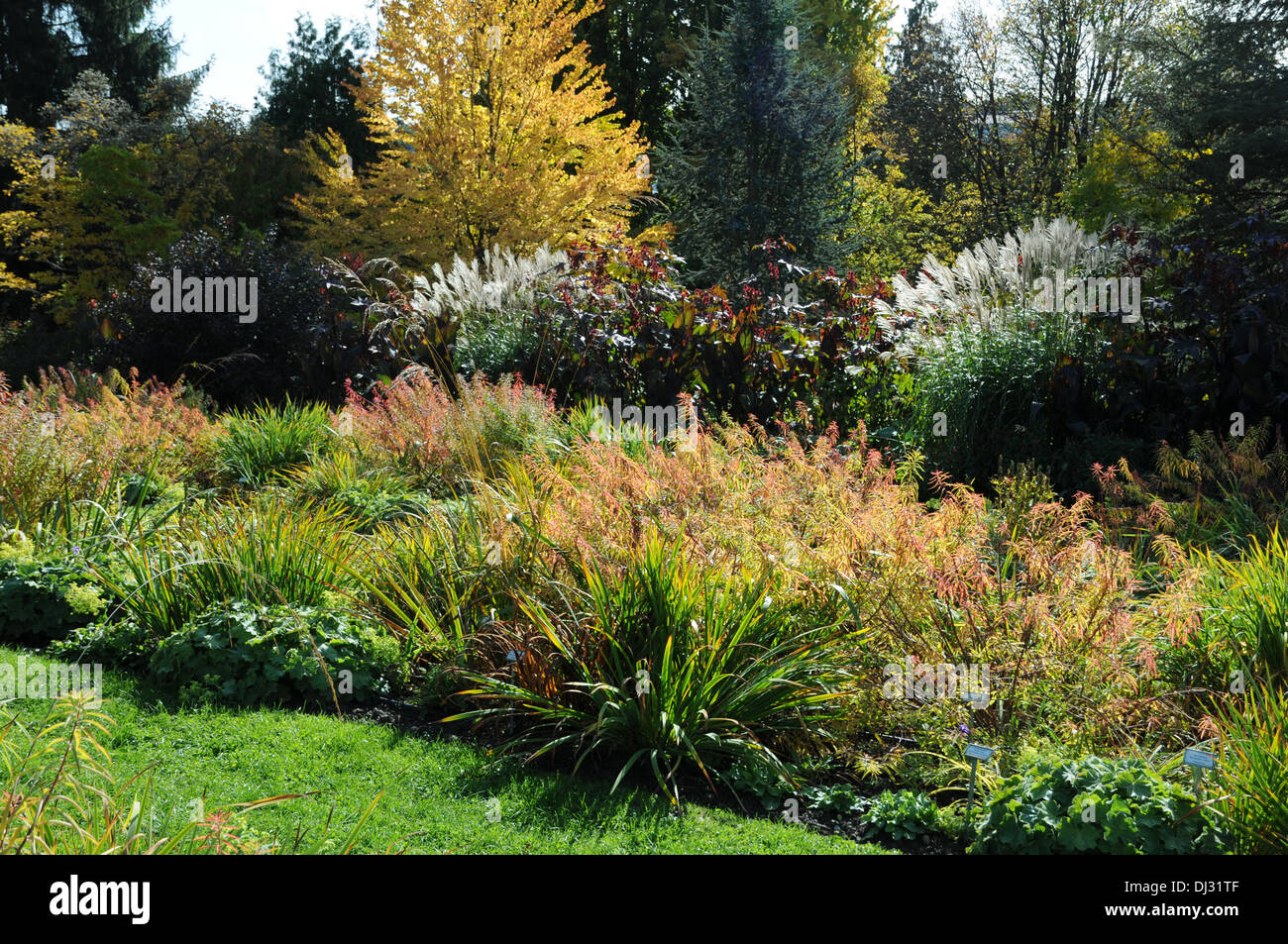 Swamp garden hi-res stock photography and images - Alamy