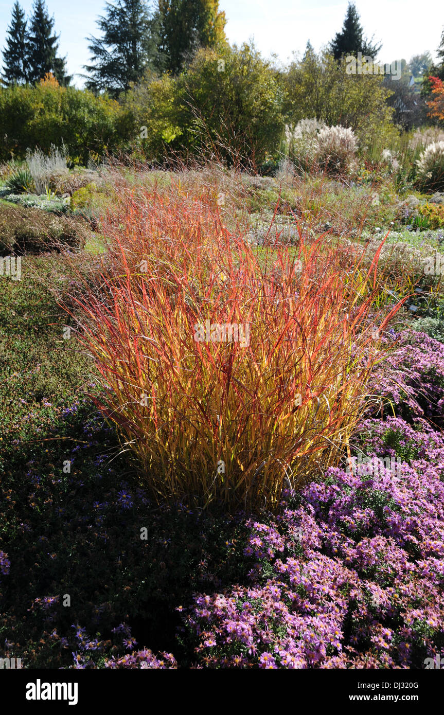 Switch plants hi-res stock photography and images - Alamy