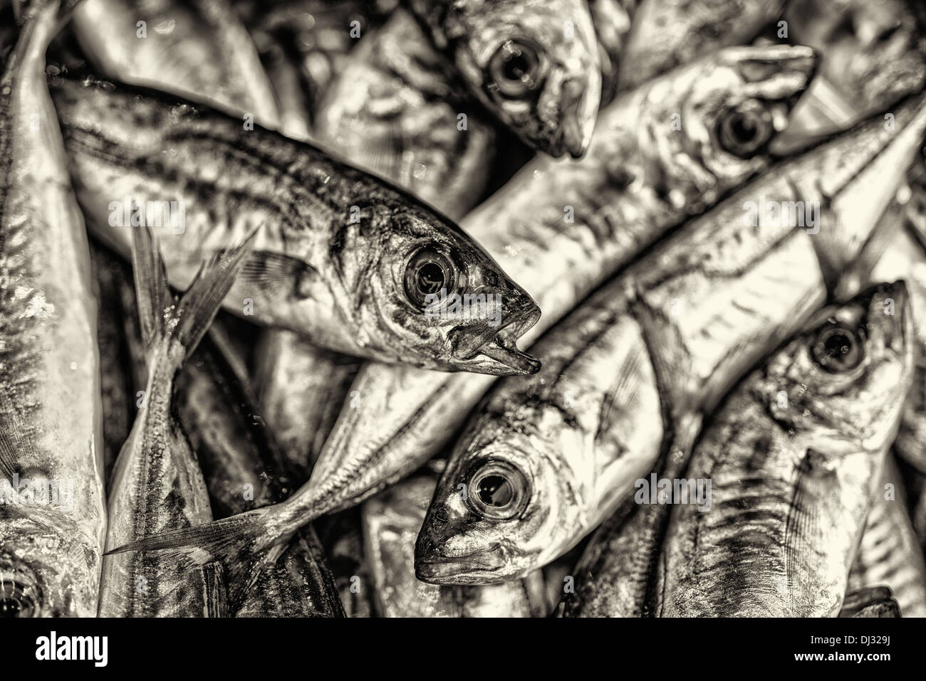 Fish Market Fishing Industry Fish Sardine Seafood Market Saltwater Fish ...