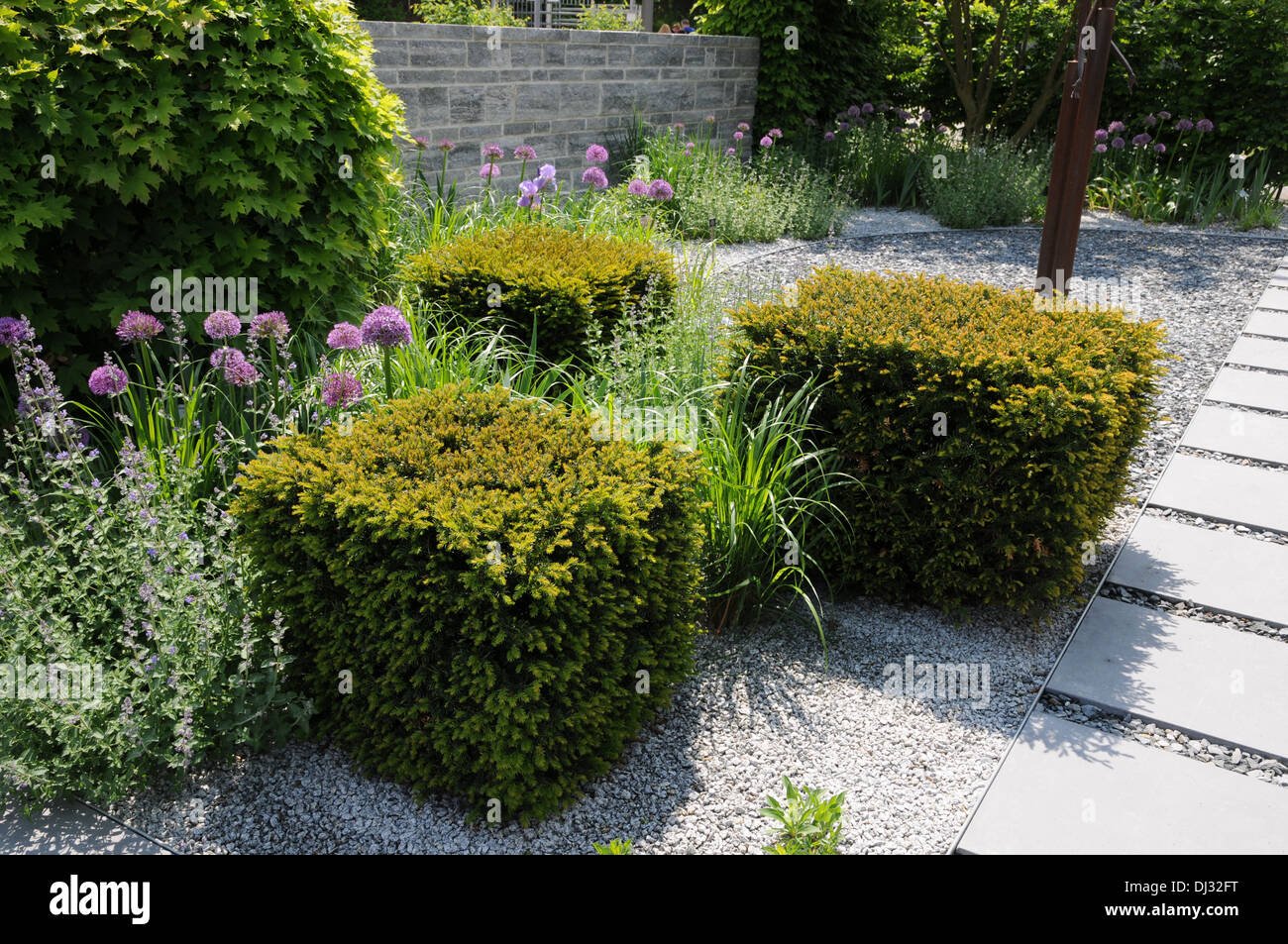 Yew topiary taxus baccata hi-res stock photography and images - Alamy