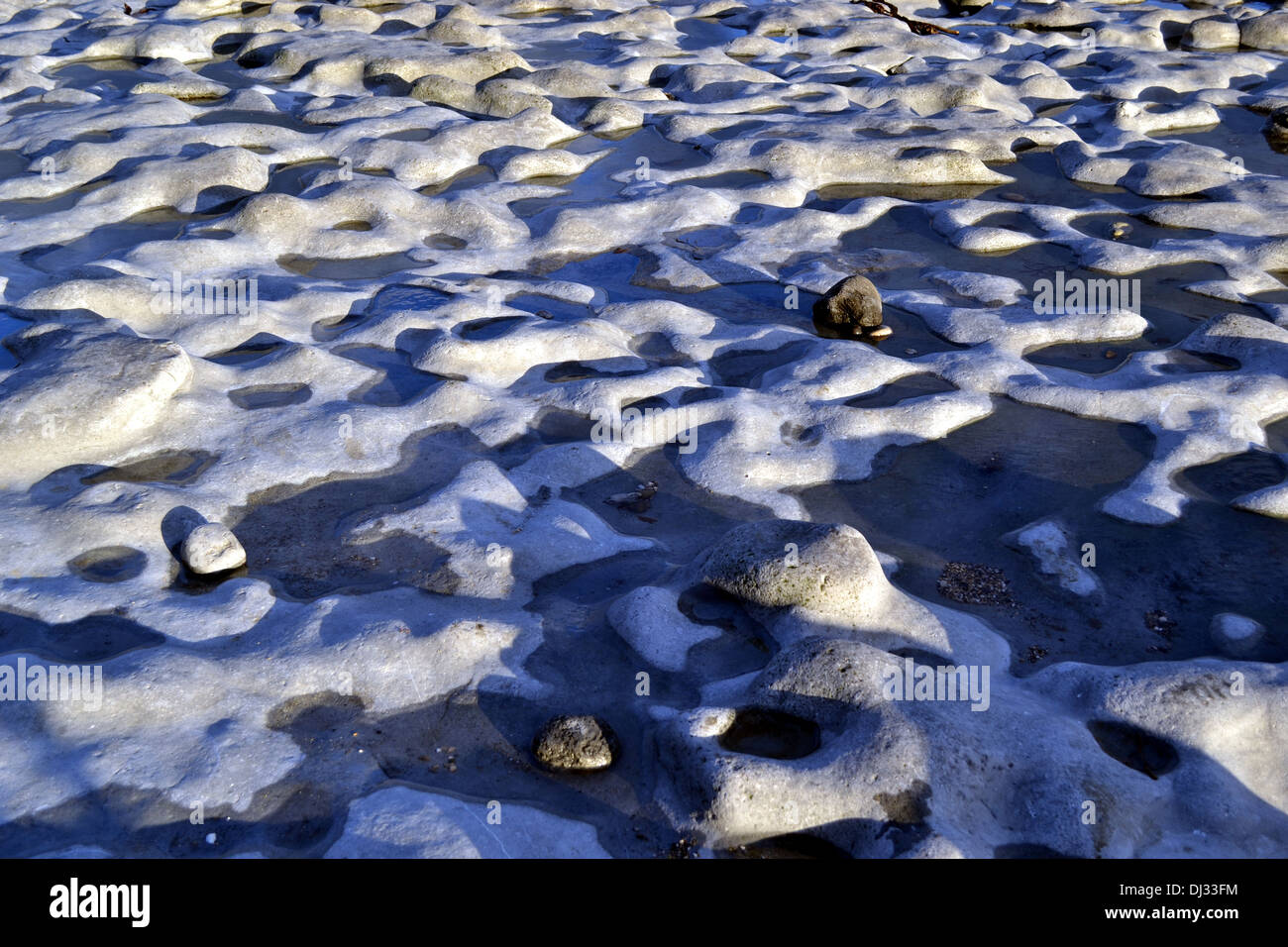 Fossil beach hi-res stock photography and images - Alamy