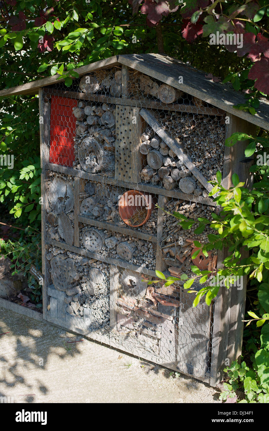 Mini beast hi-res stock photography and images - Alamy