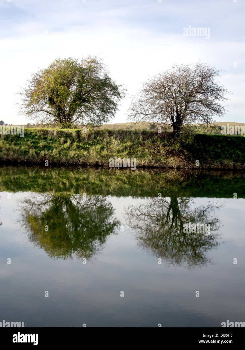 Tree trees reflecting reflections lake water hi-res stock photography ...