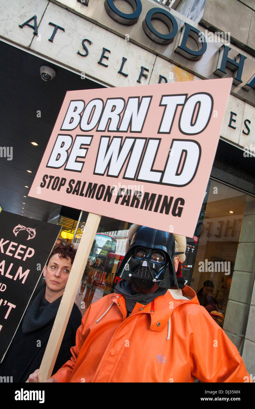 London, November 20th 2013. An anti-salmon farming protester wears a ...