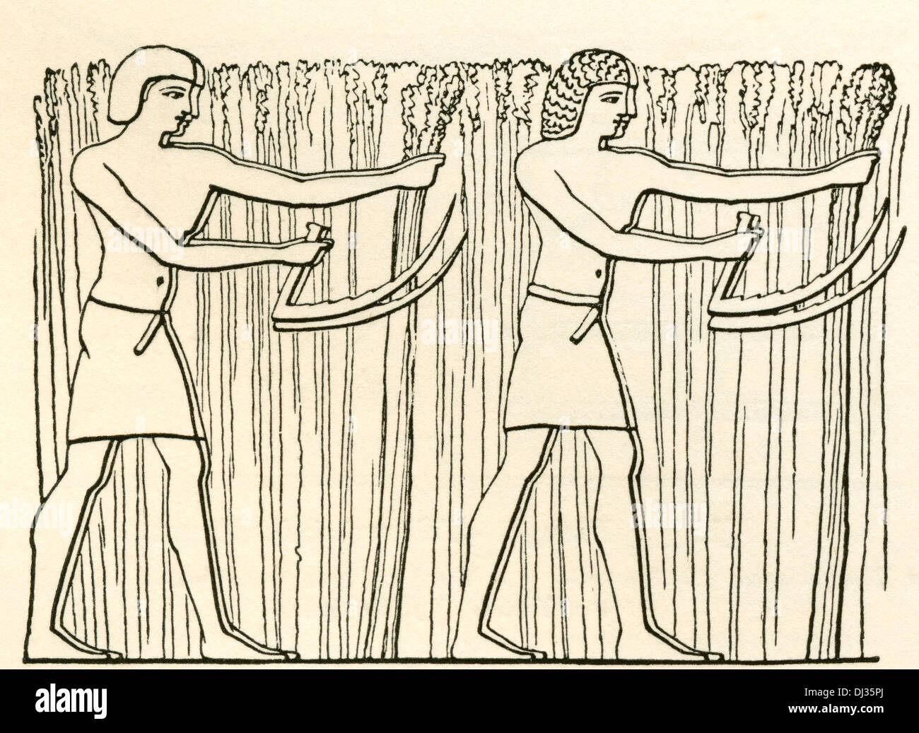 Egyptian Farming Tools