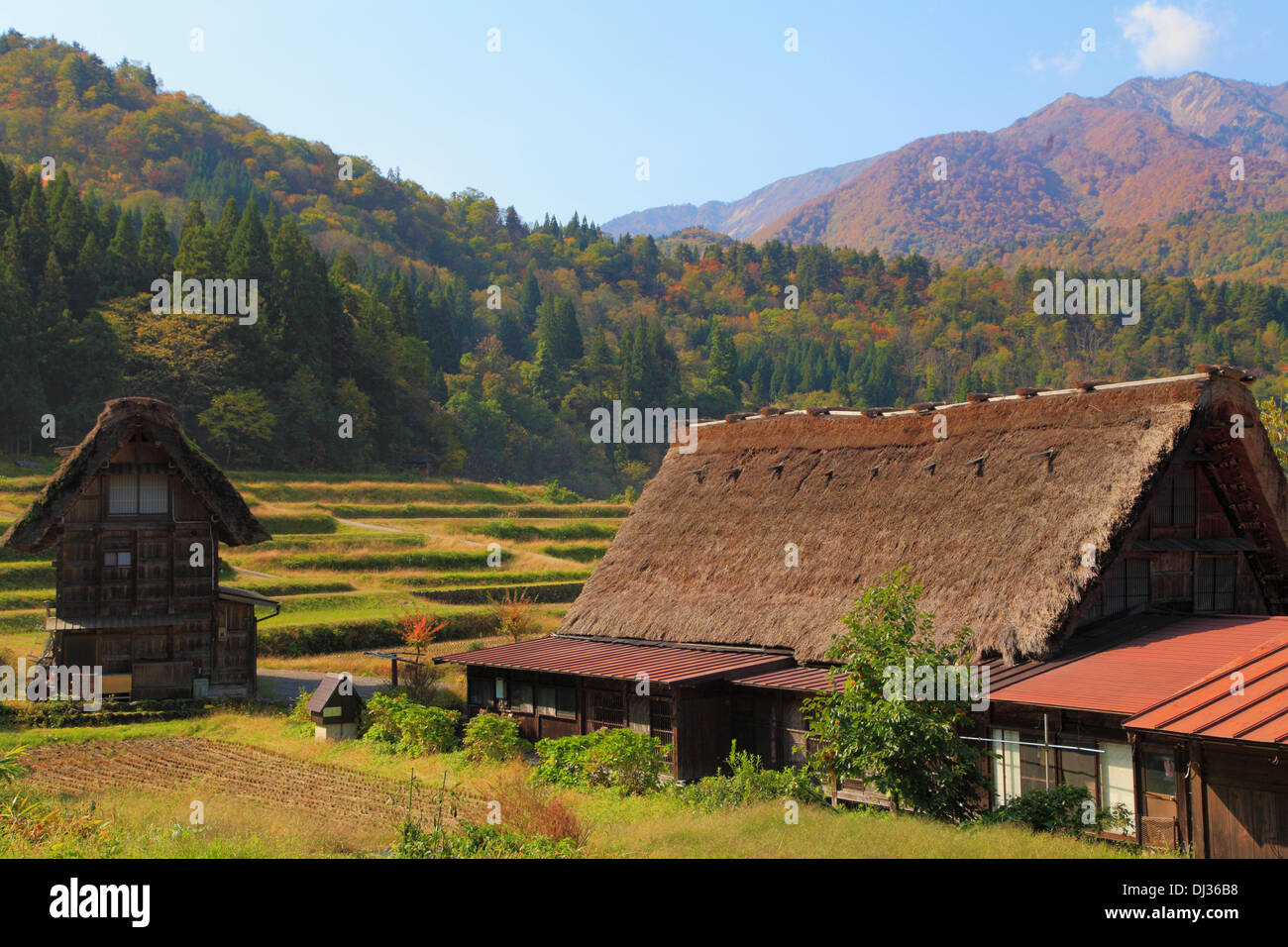 Village rice fields hi-res stock photography and images - Alamy