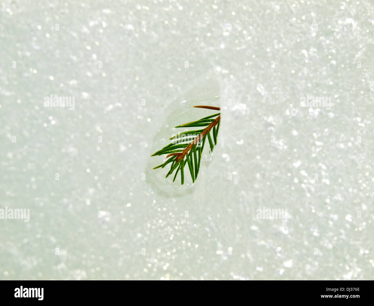 Needles trapped hi-res stock photography and images - Alamy