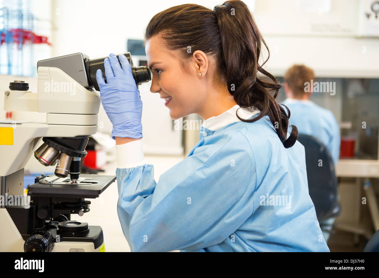 Scientist Using Microscope In Laboratory Stock Photo - Alamy