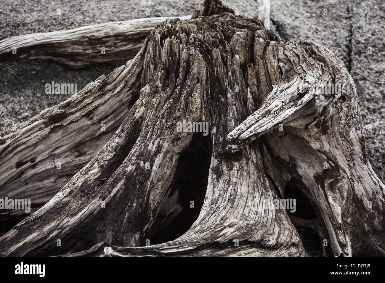Driftwood texture hi-res stock photography and images - Alamy