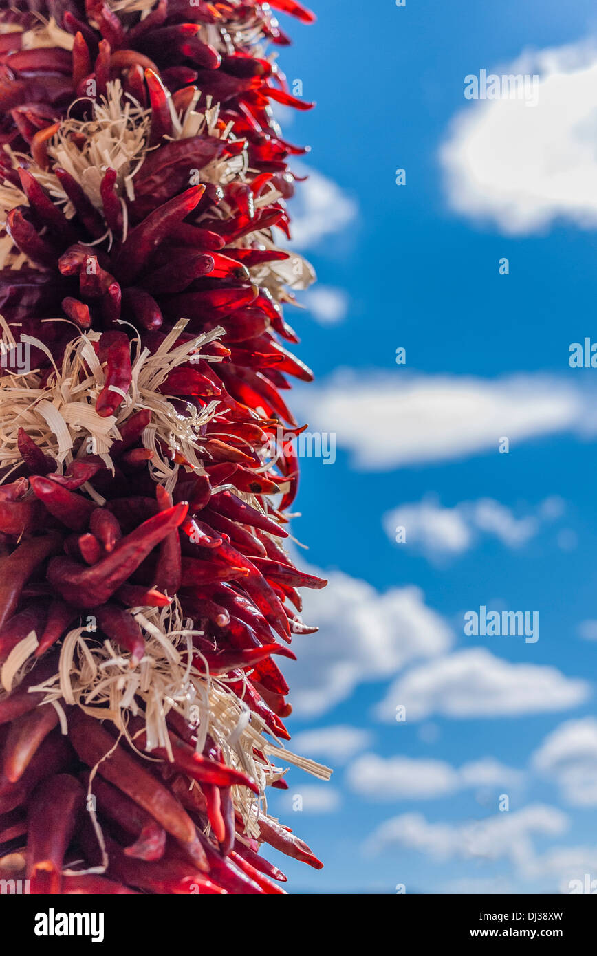 A deep red colored chile ristra hangs drying in the sun in front of a ...