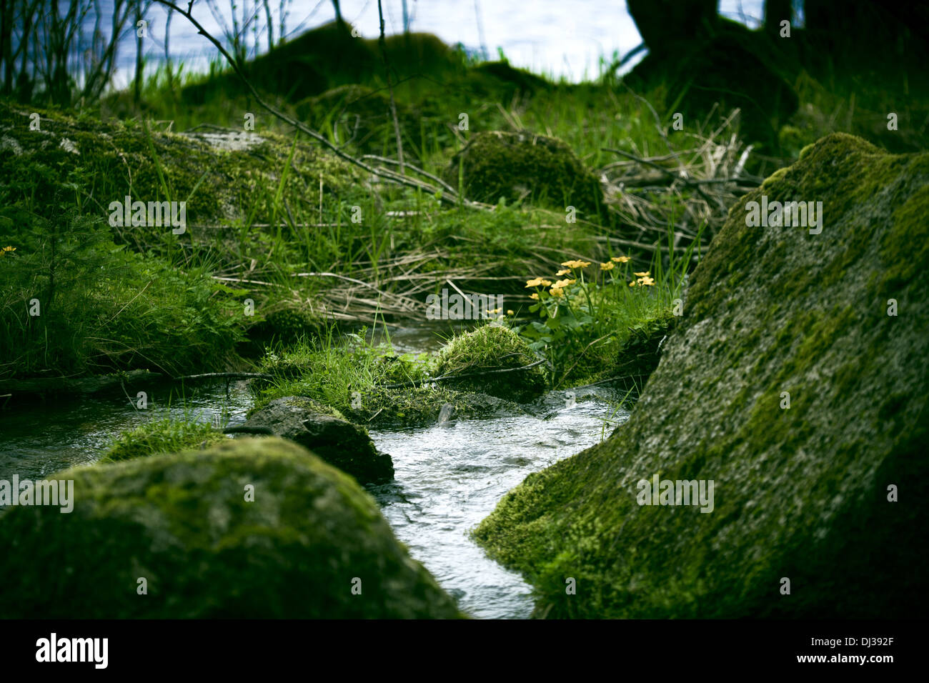 Dj392f hi-res stock photography and images - Alamy