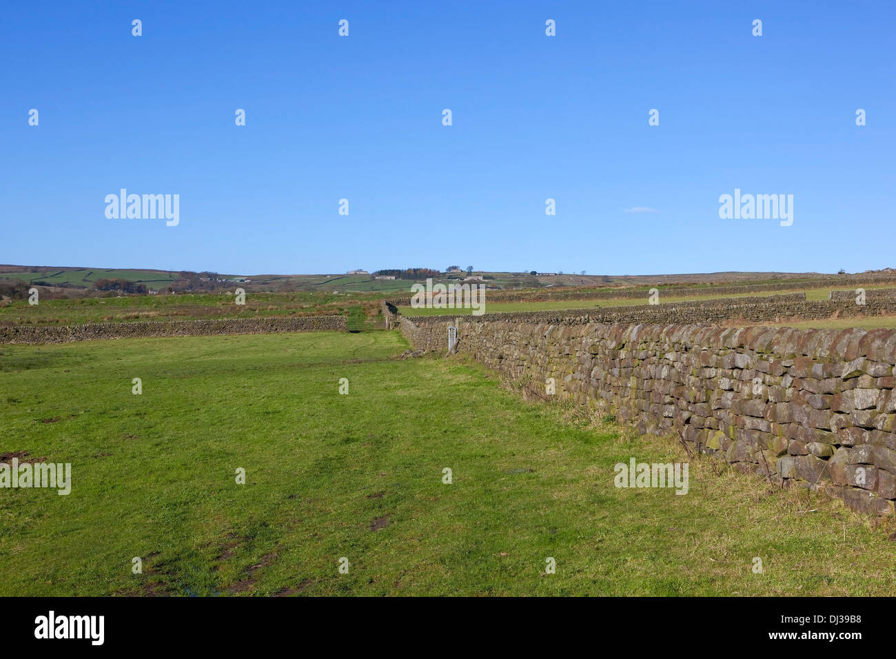 An upland landscape with dry stone walls and grazing meadows in rural ...