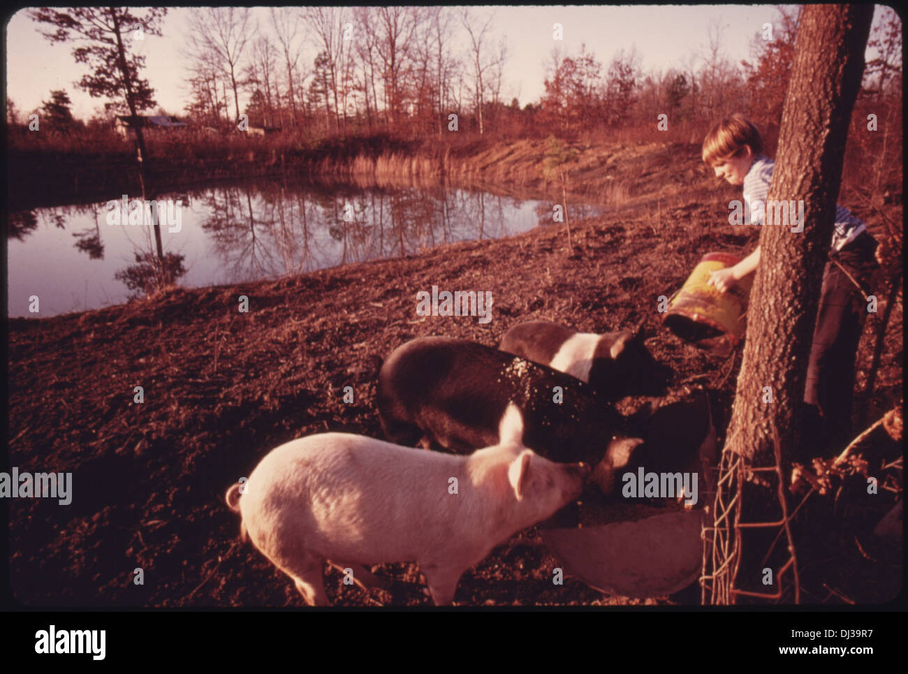 Darrell gipson hi-res stock photography and images - Alamy