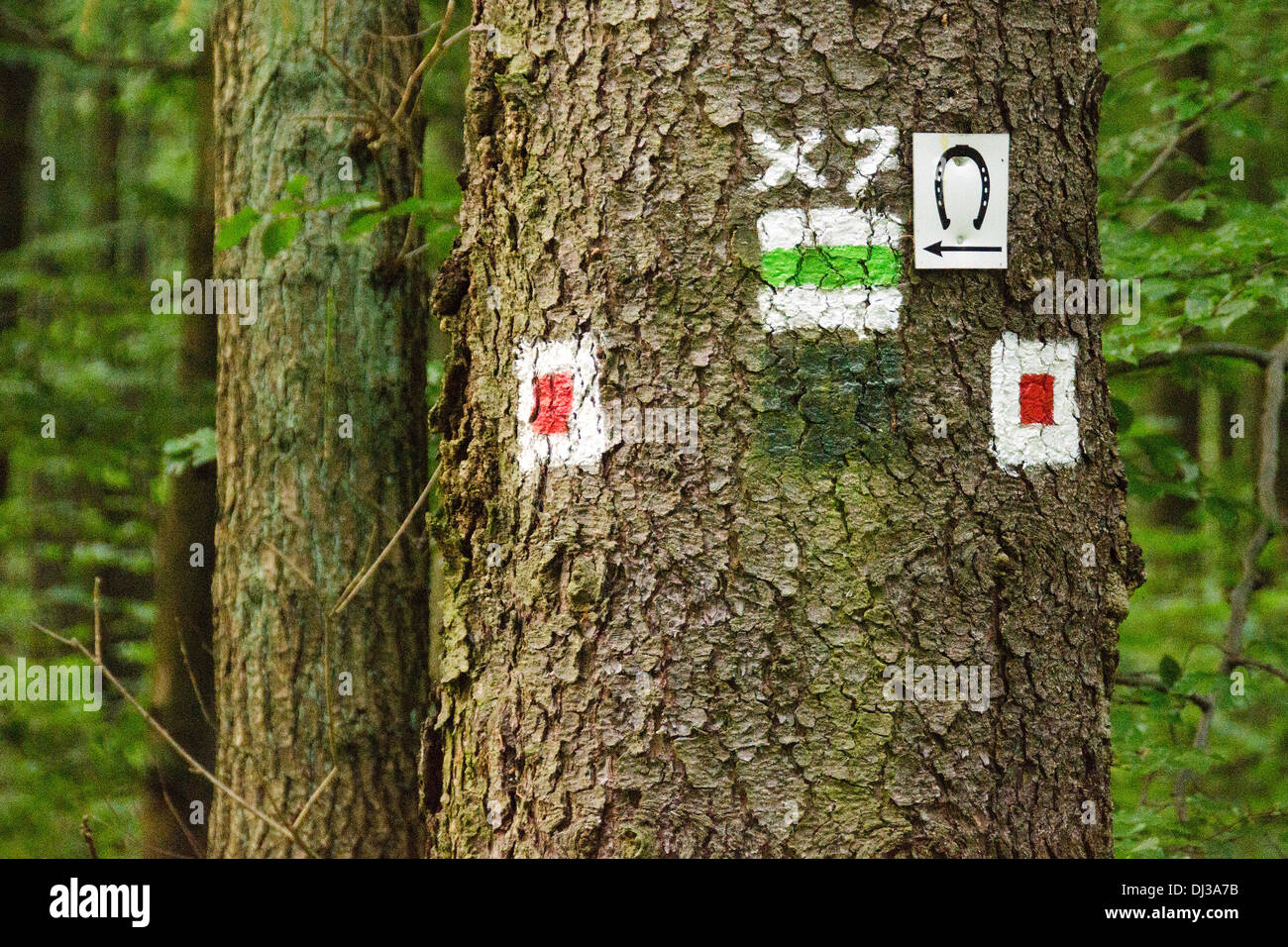 Forest trail signs on a tree in Germany red on white green on white and ...