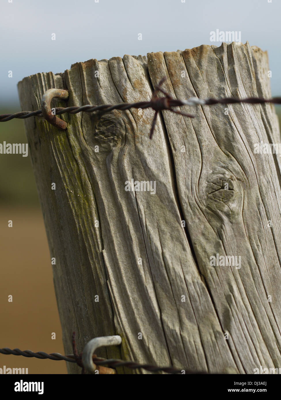Closeup of wooden fence post a rusty barbed wire Stock Photo - Alamy