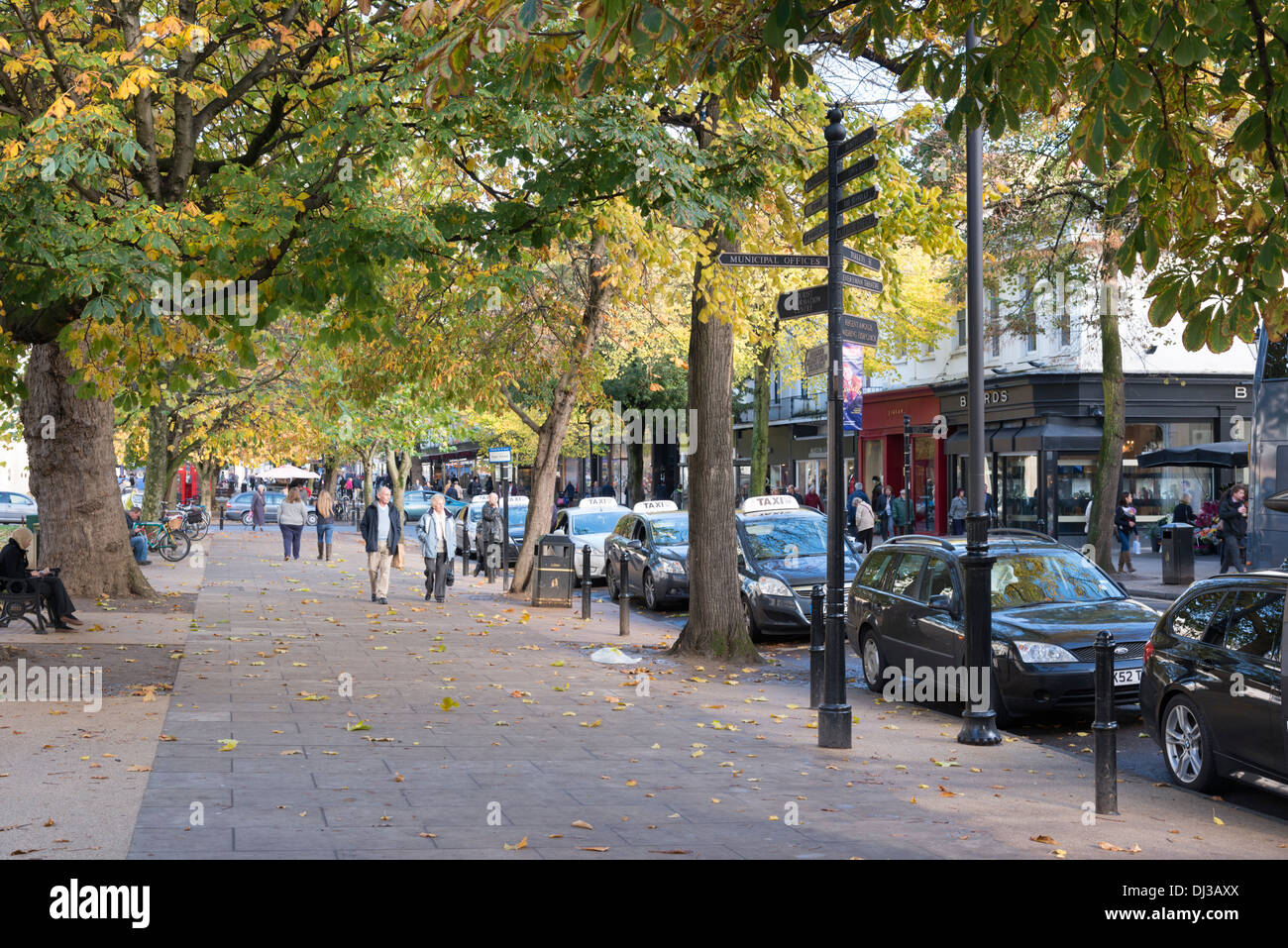Cheltenham town centre hi-res stock photography and images - Alamy