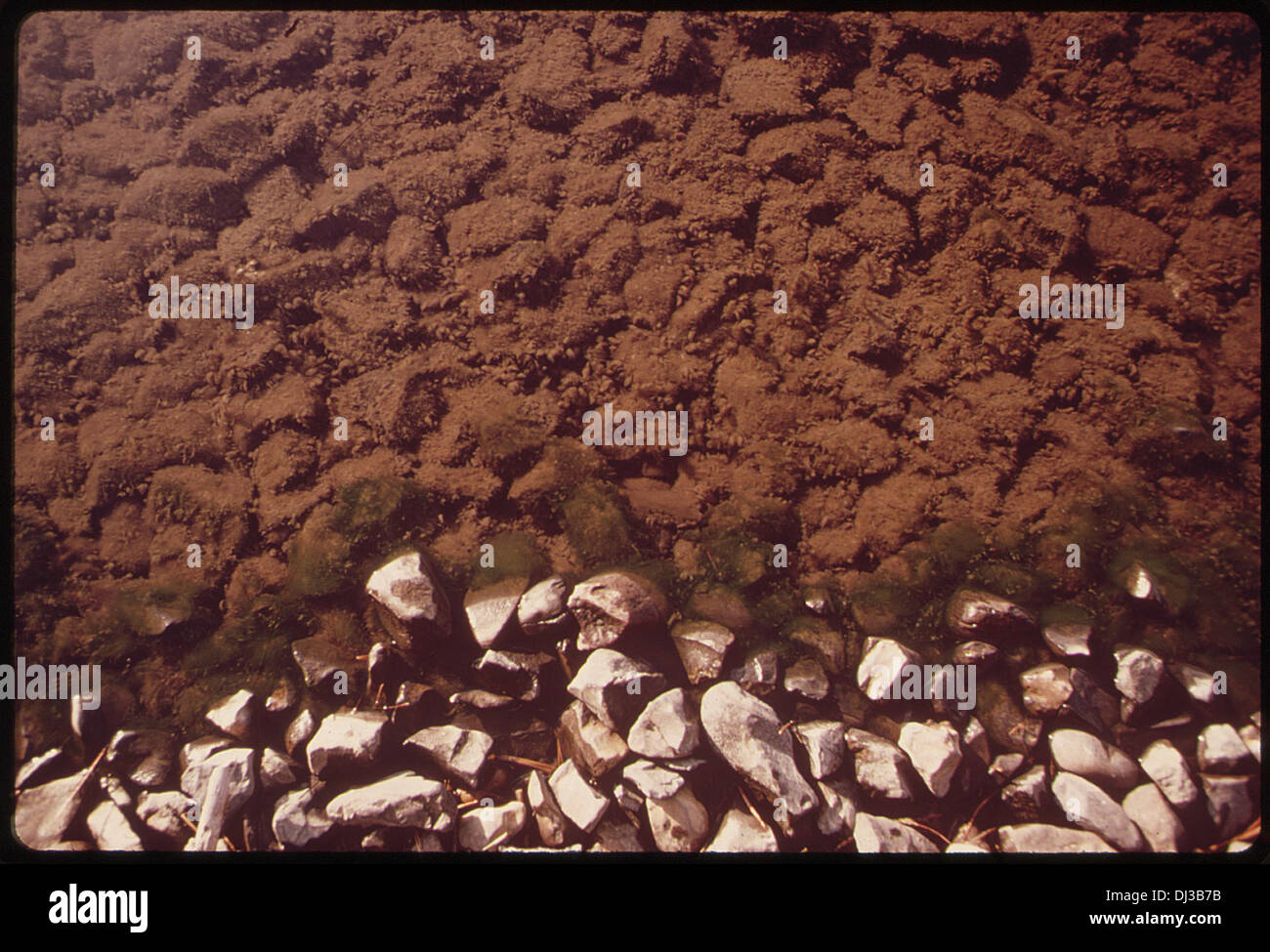 Gradations Of Algae And Silt From Clear Shore Line - Coast Guard Shore ...